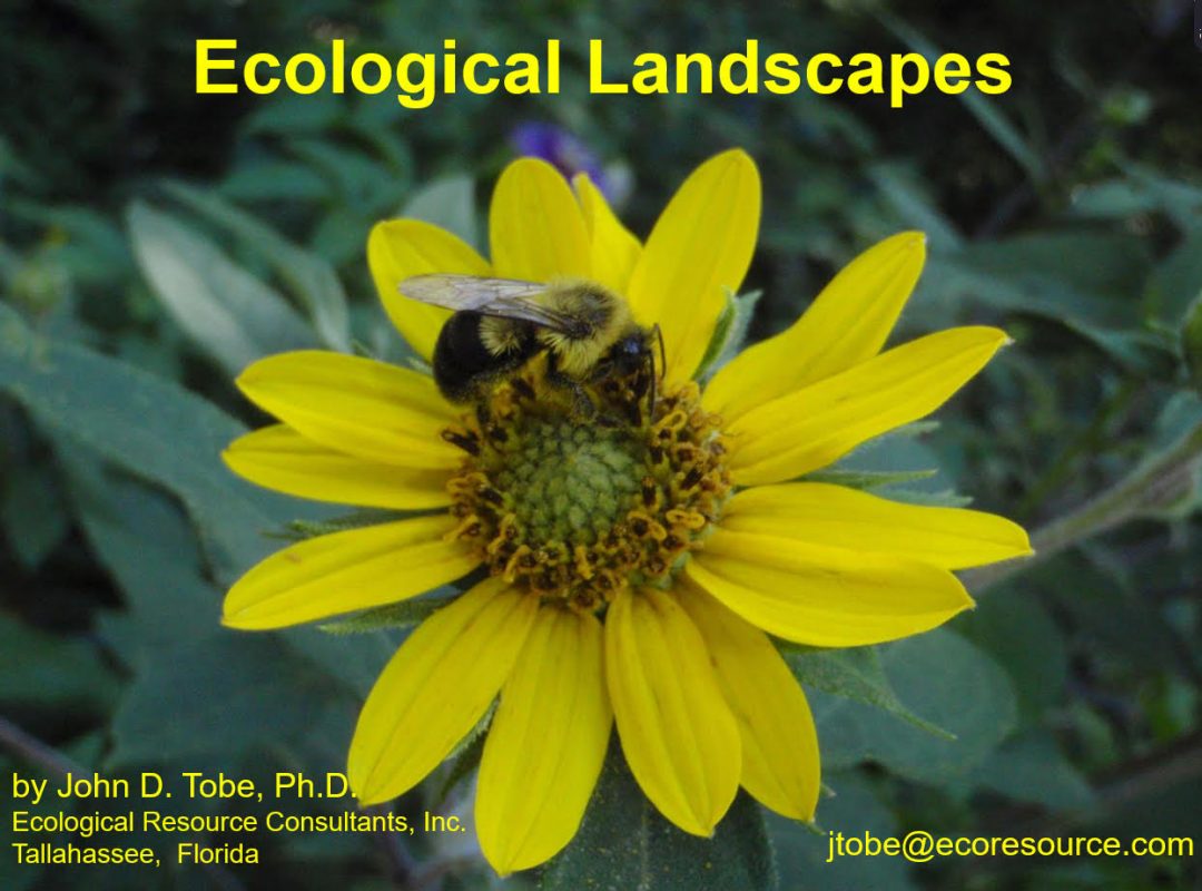 ecological landscape design - Goodwood Museum & Gardens